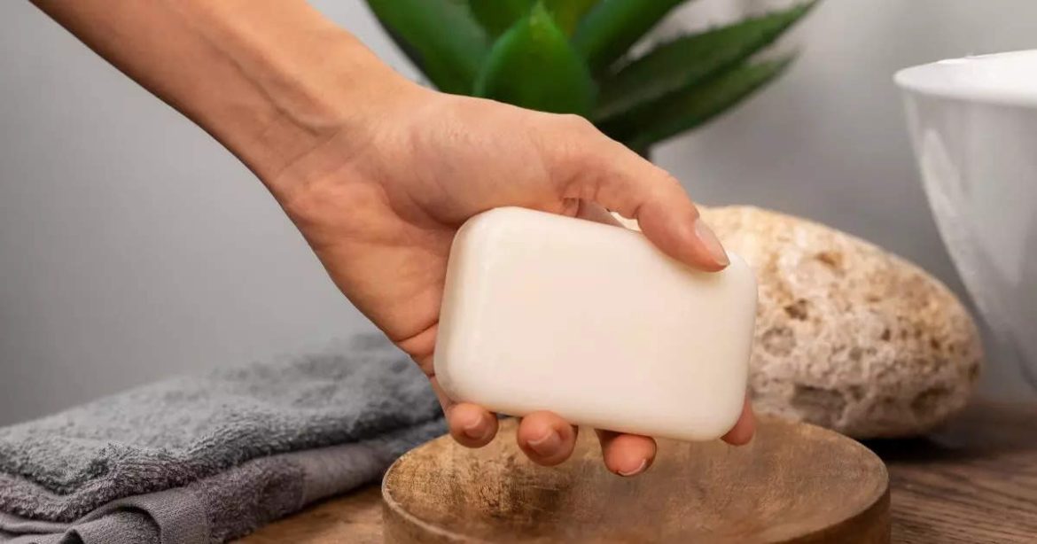 Understanding Major Distinctions between a Normal and a Synthetic Soap ...